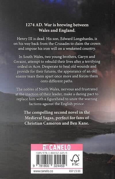 KM Ashman - In Shadows of Kings BookWise Online, Bargain Book Specialists